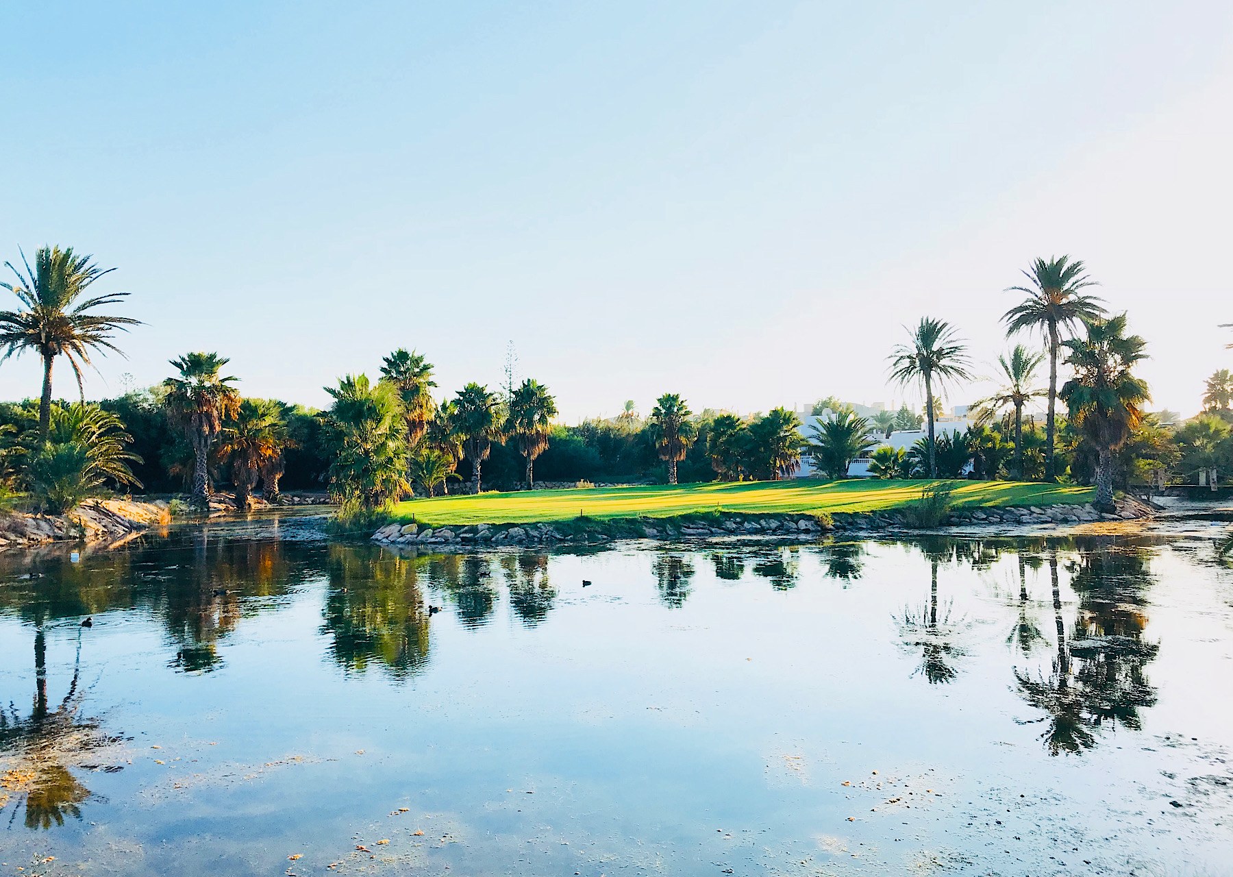 Golf Almerimar | Ruta 365